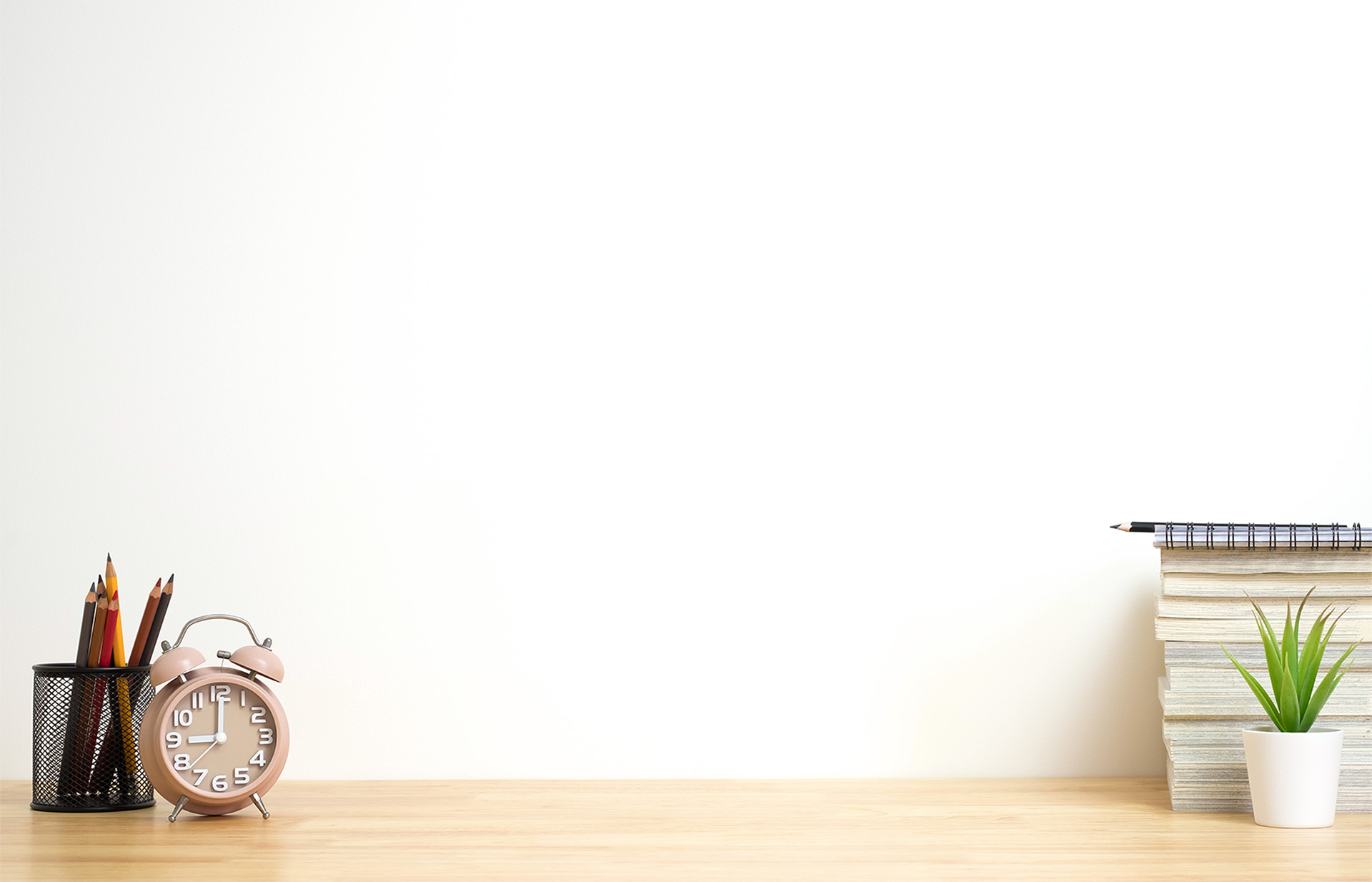 Netze BW Terminportal